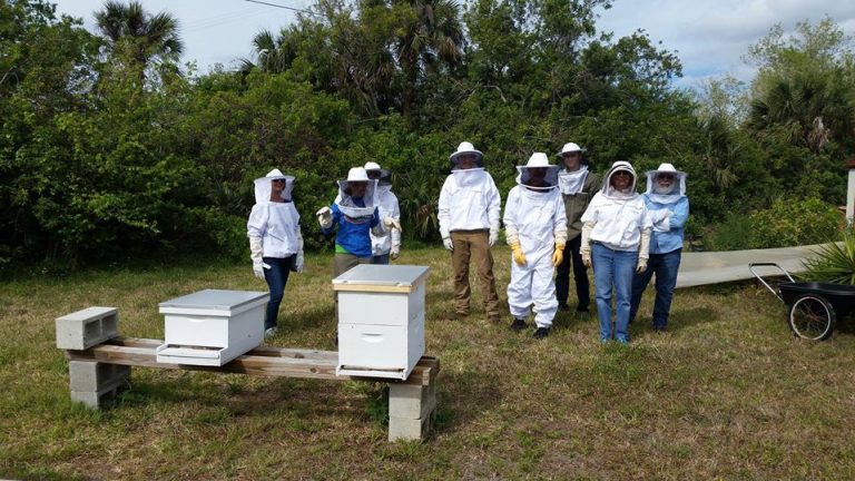 beekeeping near me Archives - Brevard Backyard Beekeepers Inc.