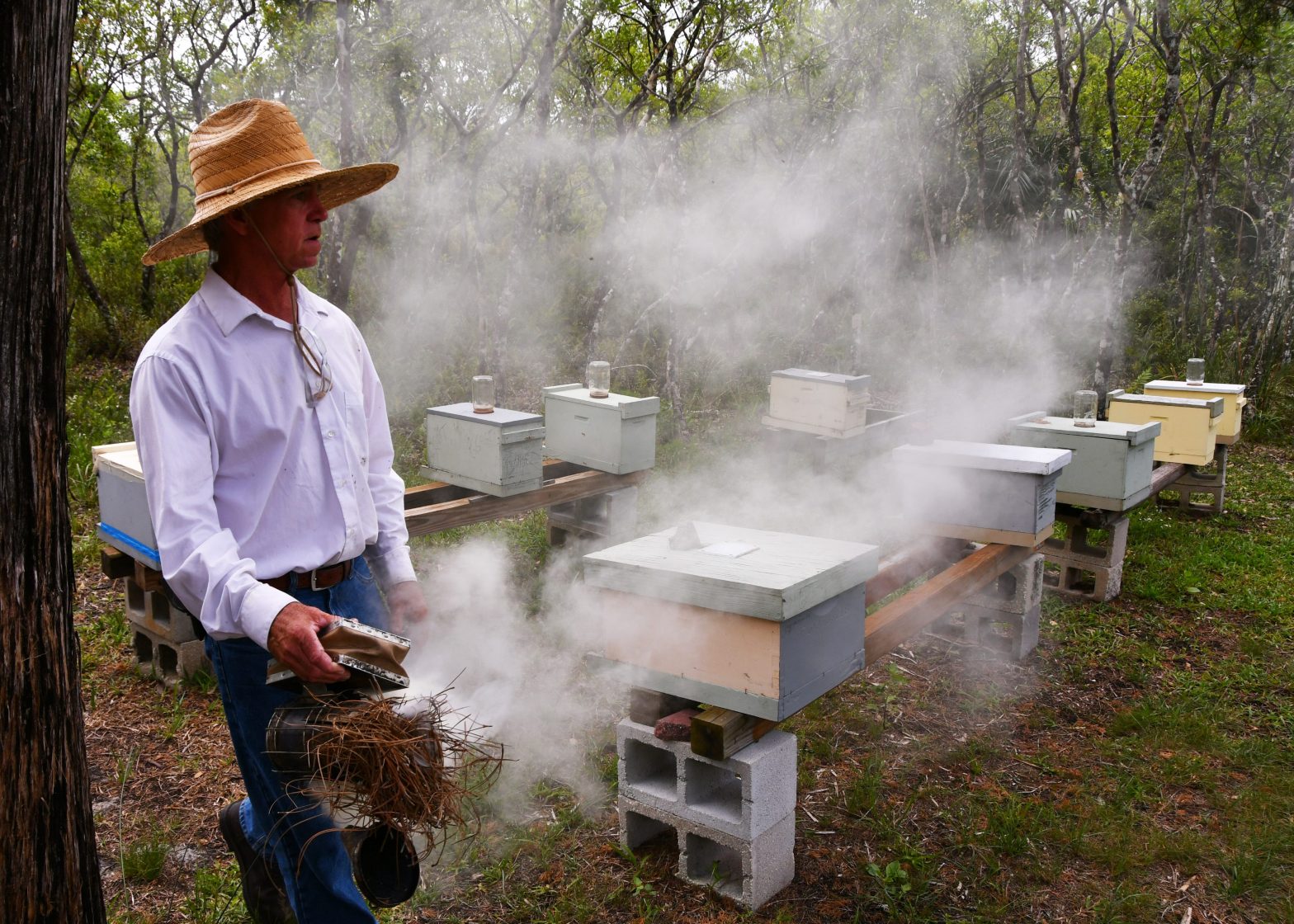 Brevard Backyard Beekeepers, Inc. - Brevard Backyard Beekeepers Inc.